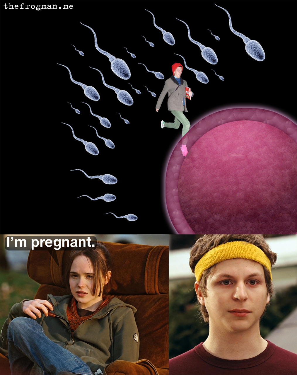 [Image - 67858] | Prancing Cera | Know Your Meme