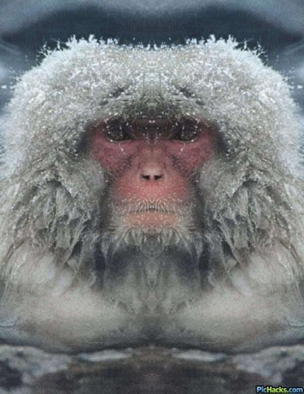 [Image - 67911] | UNITINU / UNITIИU | Know Your Meme