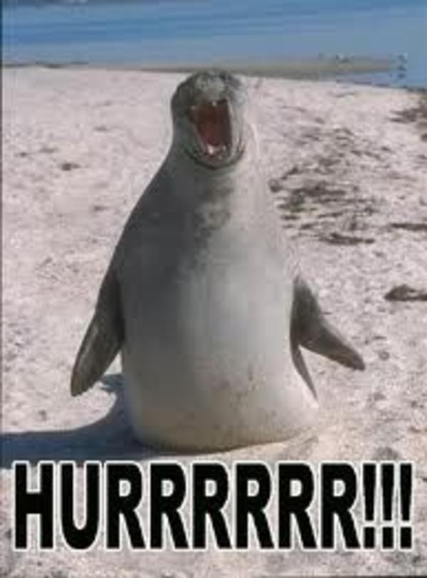 [Image - 68110] | Hurr Durr | Know Your Meme