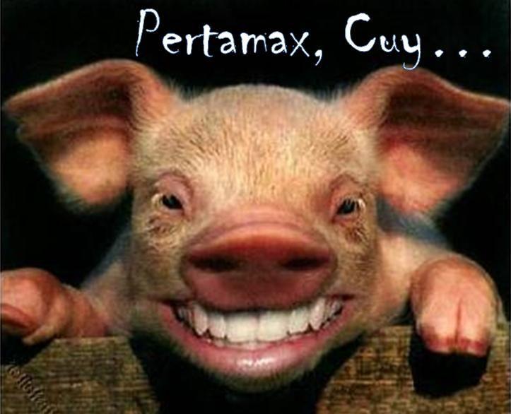 [Image - 68679] | Pertamax | Know Your Meme