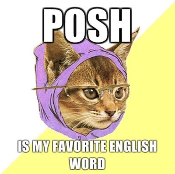 [Image - 69498] | Hipster Kitty | Know Your Meme