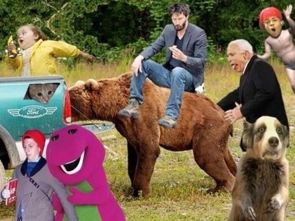 [Image - 70902] | Meme Overload | Know Your Meme