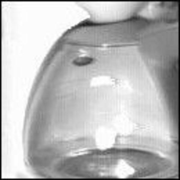 [Image - 70906] | Trojan Room Coffee Pot | Know Your Meme