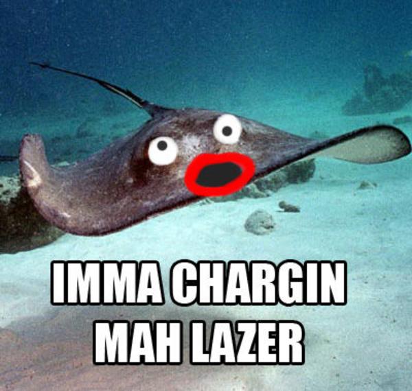 [Image - 71471] | Steve Irwin's Stingray Death | Know Your Meme