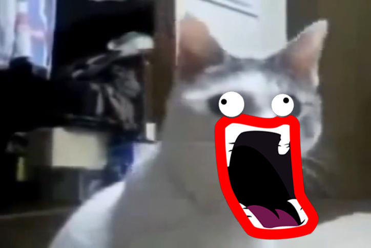 [Image - 71781] | Shoop Da Whoop | Know Your Meme