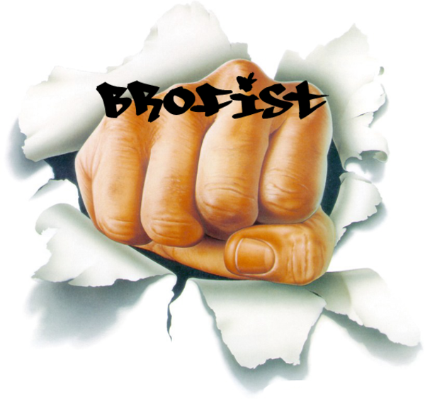 [Image - 72550] | Bro Fist | Know Your Meme