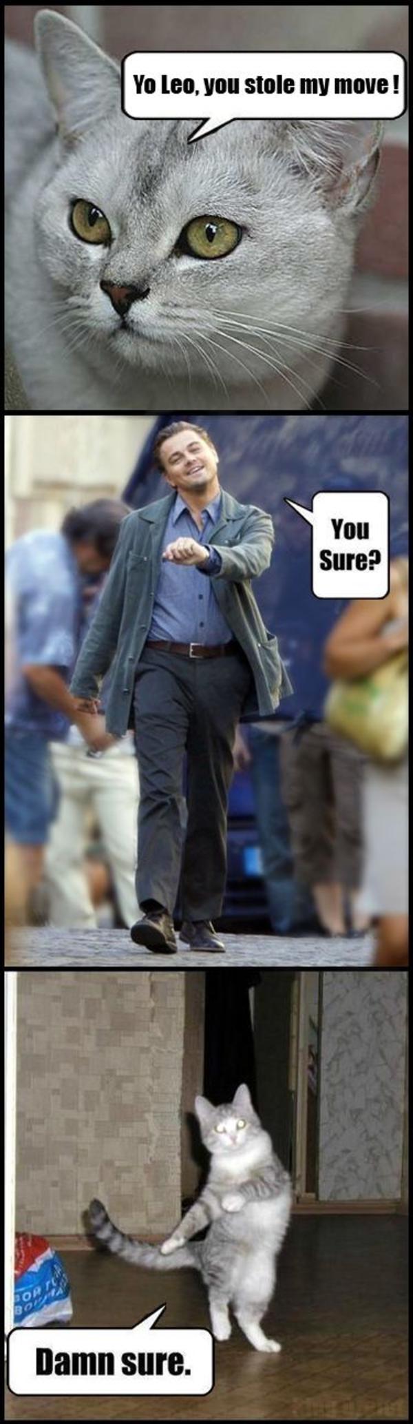 [Image - 72726] | Strutting Leo | Know Your Meme
