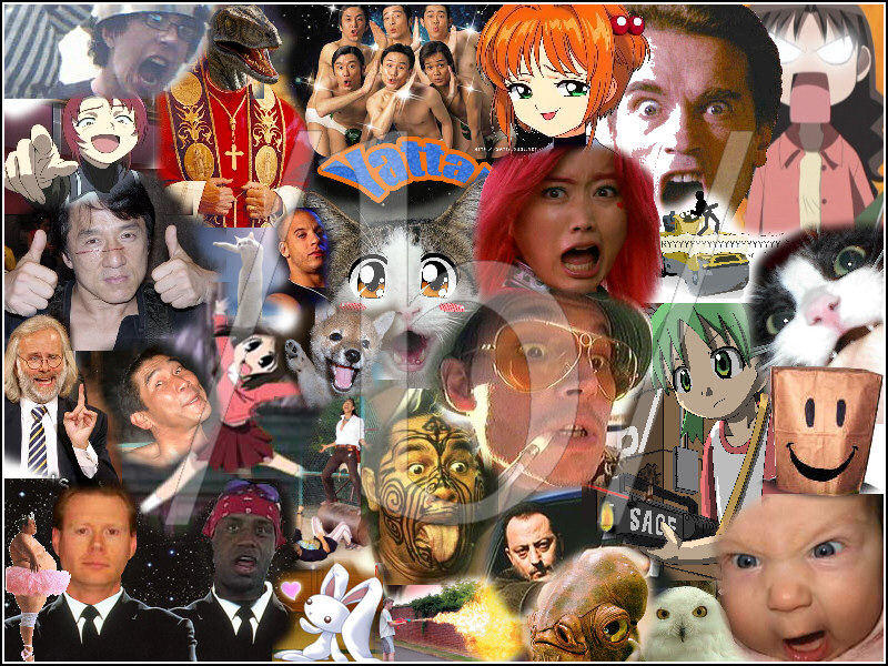 [Image - 73595] | Meme Overload | Know Your Meme