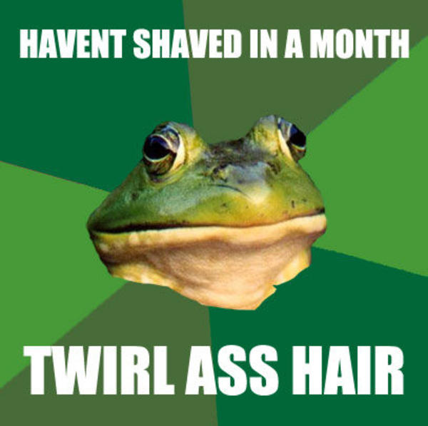 [Image - 74394] | Foul Bachelor Frog | Know Your Meme