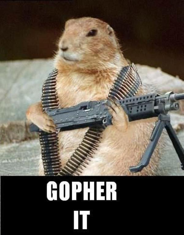 [image 75145] Gopher It Know Your Meme