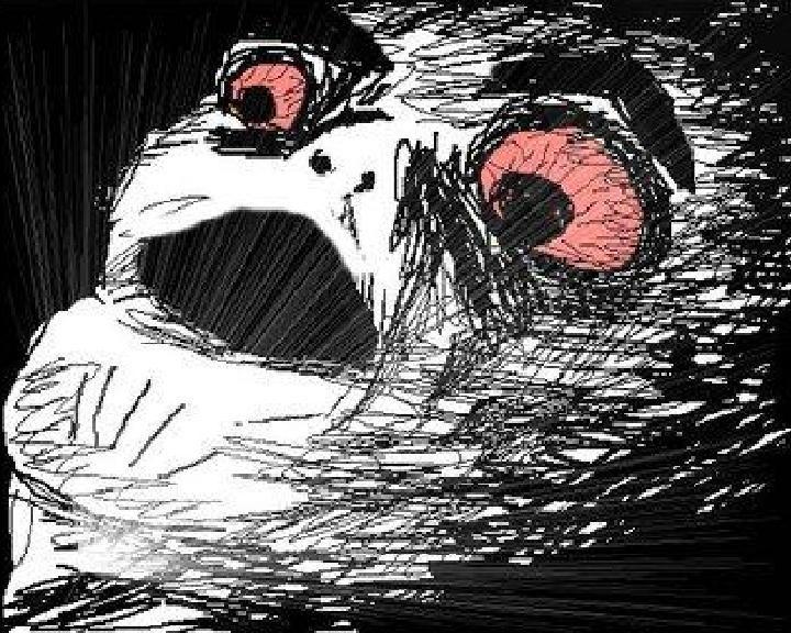 [Image - 75877] | Oh Crap / OMG Rage Face | Know Your Meme