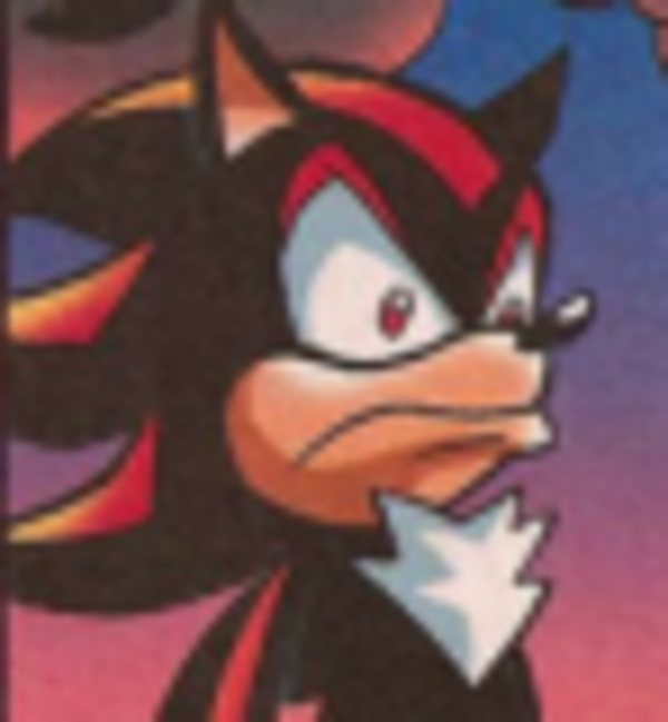 [Image - 77371] | Derp | Know Your Meme