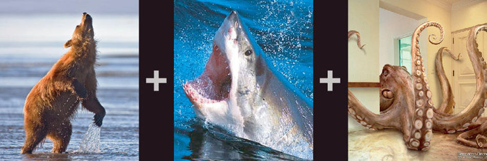 [Image - 77396] | Bearsharktopus | Know Your Meme