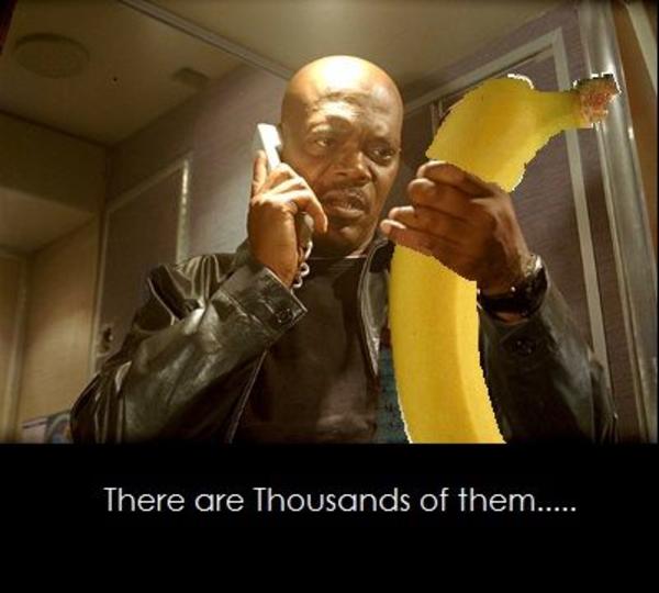 [Image - 77862] | Suddenly, Bananas! Thousands Of Them! | Know Your Meme