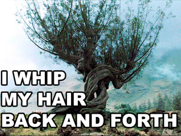 [Image - 78728] | I Whip My Hair Back and Forth | Know Your Meme