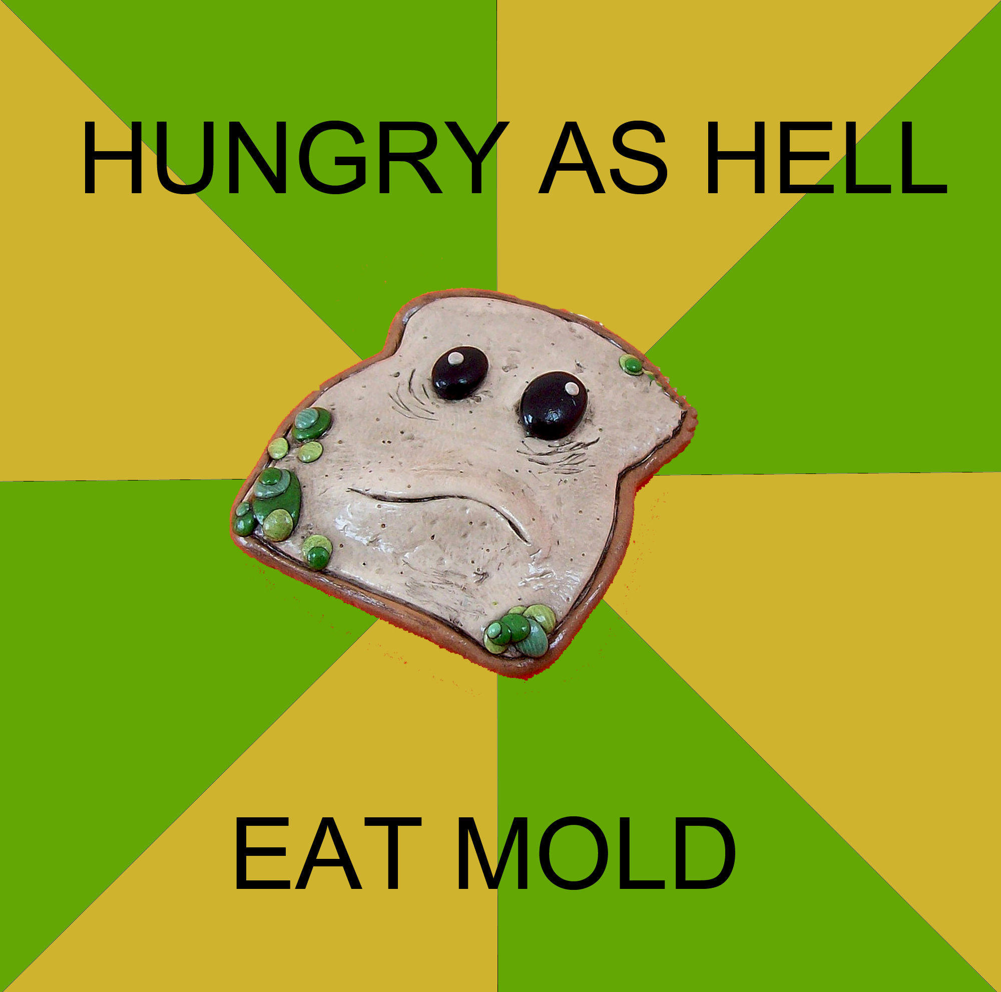 [Image - 80804] | The Sandwich was mold | Know Your Meme