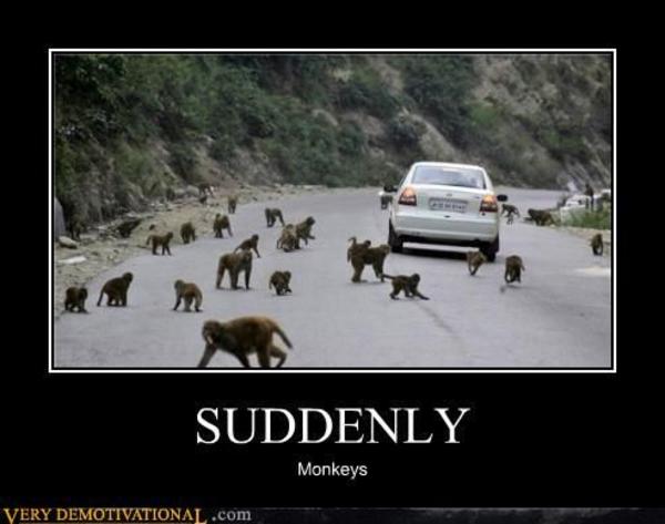 [Image - 80945] | Suddenly, Bananas! Thousands Of Them! | Know Your Meme