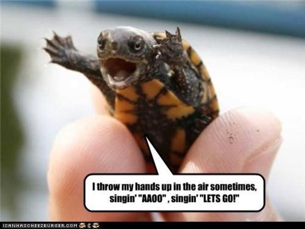 [Image - 81160] | I Throw My Hands Up In The Air Sometimes Saying Ayo ...