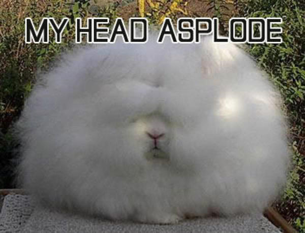 [Image - 81612] | Your Head Asplode | Know Your Meme
