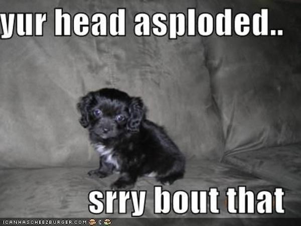 [Image - 82032] | Your Head Asplode | Know Your Meme