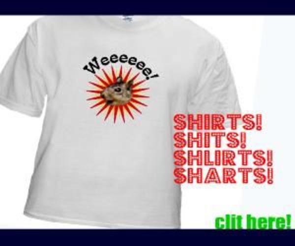 [Image - 82152] | Gonads and Strife | Know Your Meme