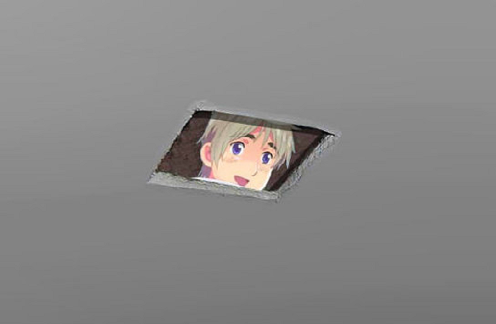 [Image - 83750] | Ceiling Cat | Know Your Meme