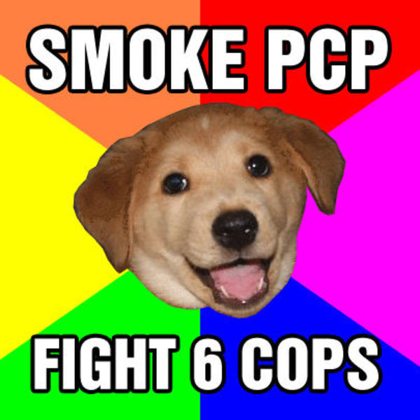 [Image - 84061] | Advice Dog | Know Your Meme