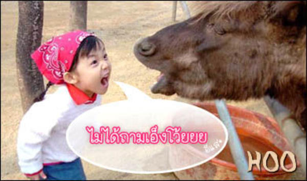 [Image - 85033] | Girl Yelling at Yak | Know Your Meme
