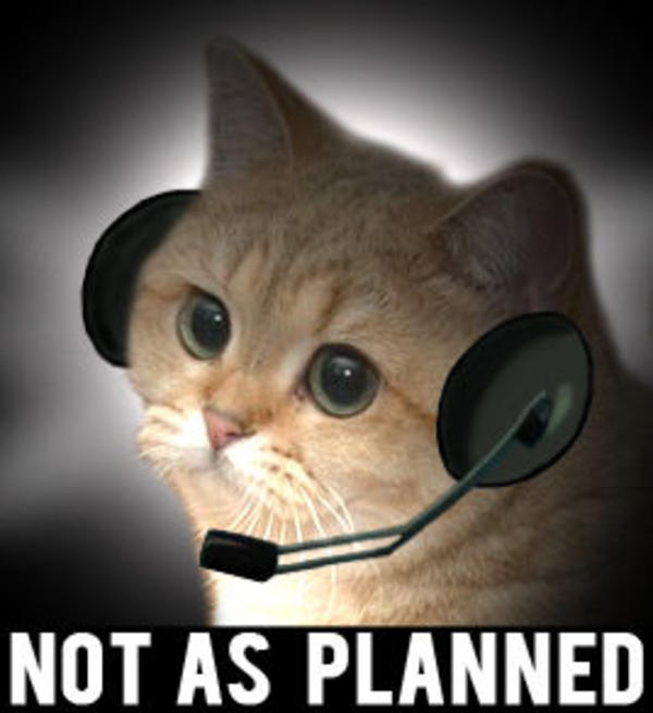 [Image - 86351] | Starecat / Grafics Cat | Know Your Meme