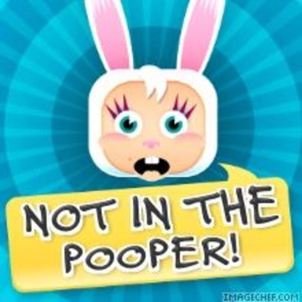 [Image - 86506] | Stick it in her Pooper | Know Your Meme