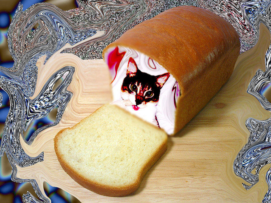 [Image - 86597] | CatBread / Nekopan | Know Your Meme