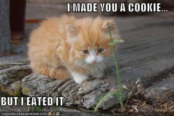 [Image - 87026] | I Made You a Cookie, But I Eated It | Know Your Meme