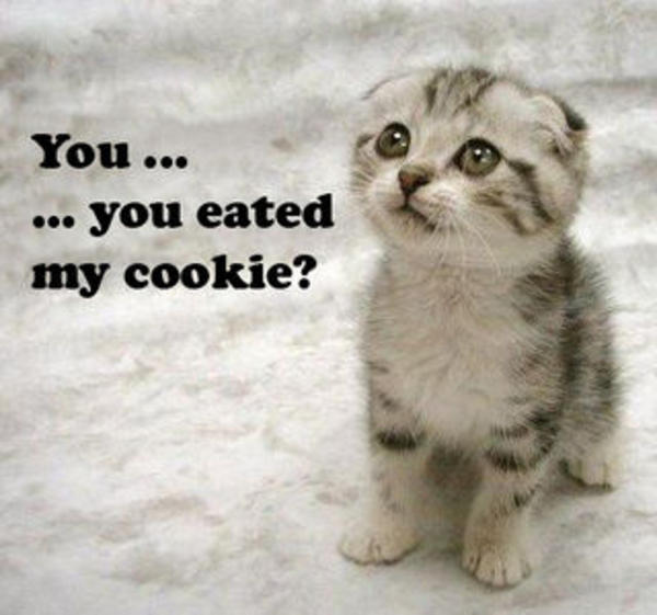 [Image - 87058] | I Made You a Cookie, But I Eated It | Know Your Meme