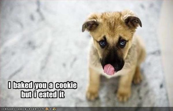 [Image - 87142] | I Made You a Cookie, But I Eated It | Know Your Meme
