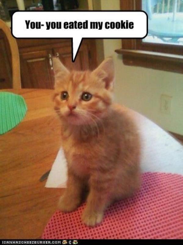 [Image - 87159] | I Made You a Cookie, But I Eated It | Know Your Meme