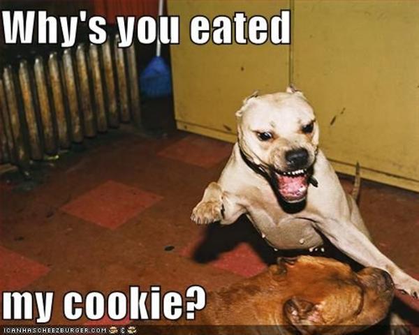 [Image - 87163] | I Made You a Cookie, But I Eated It | Know Your Meme