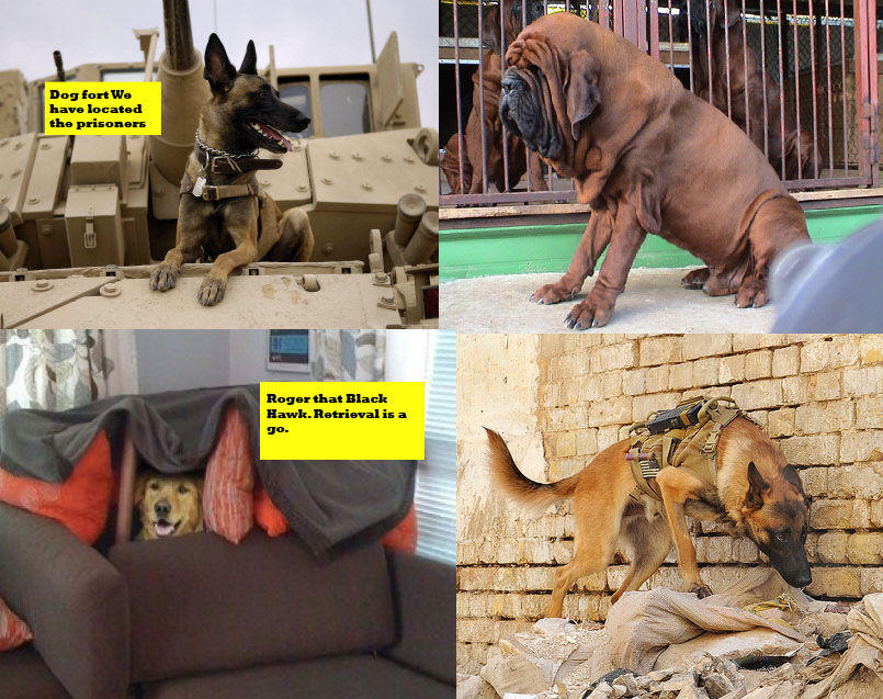 [Image - 87570] | Dog Fort | Know Your Meme