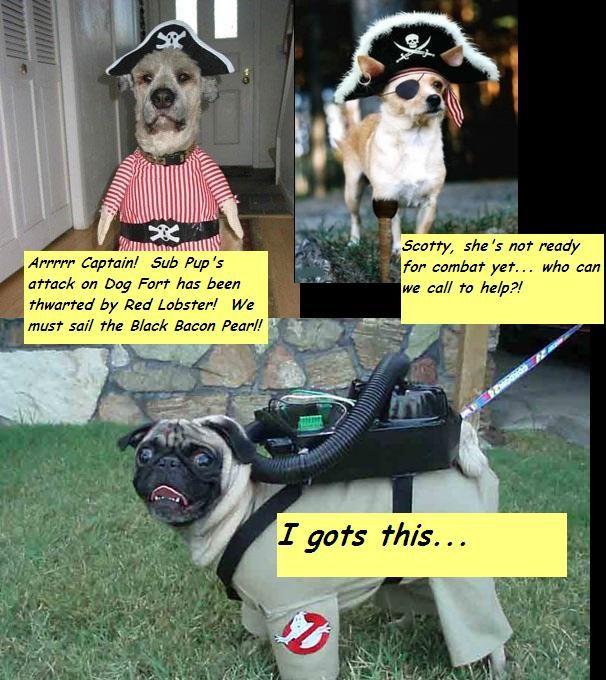 [Image - 87572] | Dog Fort | Know Your Meme