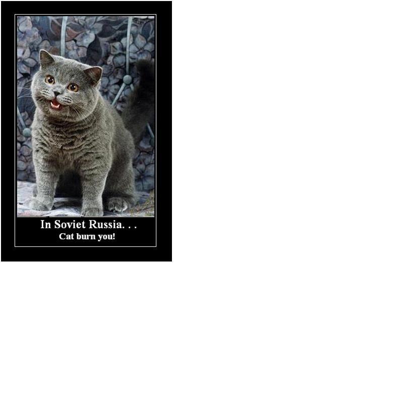 [Image - 87877] | NEDM | Know Your Meme