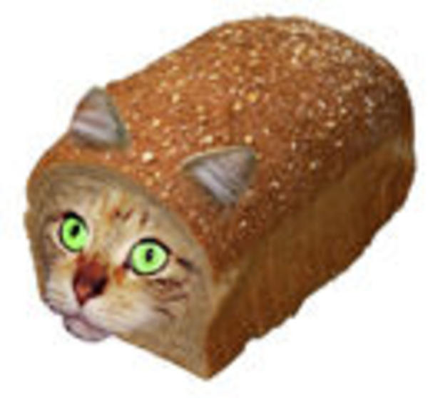 [Image - 88133] | CatBread / Nekopan | Know Your Meme