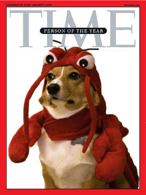 [Image - 88321] | Dog Fort | Know Your Meme
