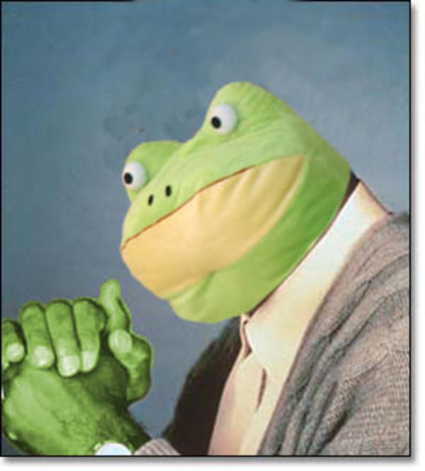 [Image - 88684] | Get Out Frog / Frogout / Me Obrigue | Know Your Meme