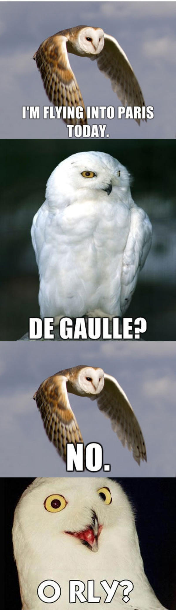 [Image - 89087] | O RLY? | Know Your Meme