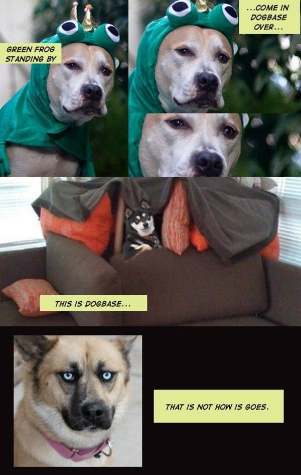 [Image - 89380] | Dog Fort | Know Your Meme