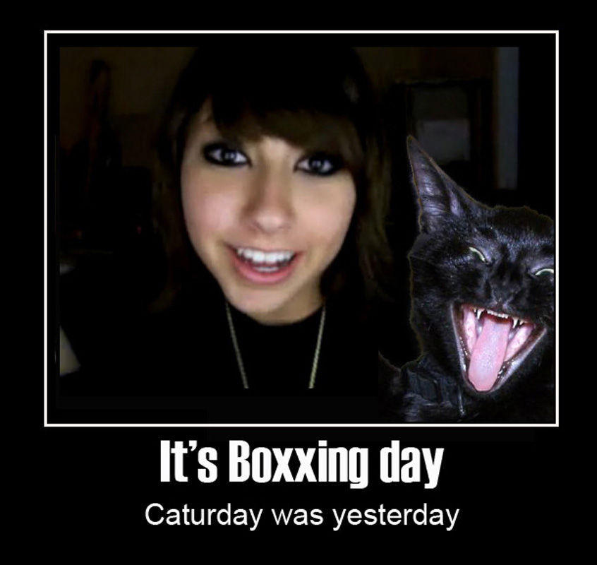 [Image - 89697] | Boxxy | Know Your Meme