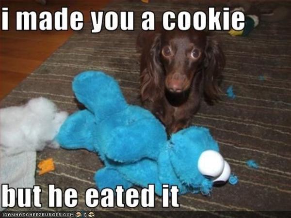 [Image - 90662] | I Made You a Cookie, But I Eated It | Know Your Meme