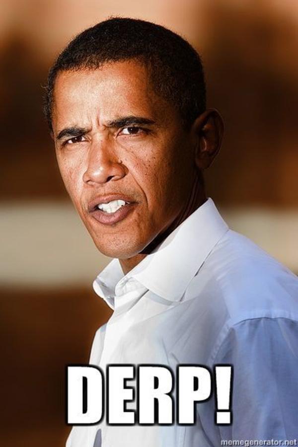 [Image - 91353] | Derp | Know Your Meme