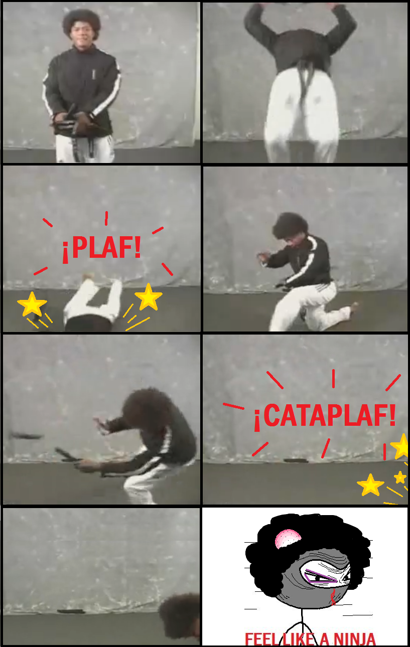 [Image - 91660] | Feel Like a Ninja | Know Your Meme