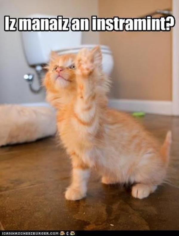 [Image - 92569] | Is Mayonnaise an Instrument? | Know Your Meme