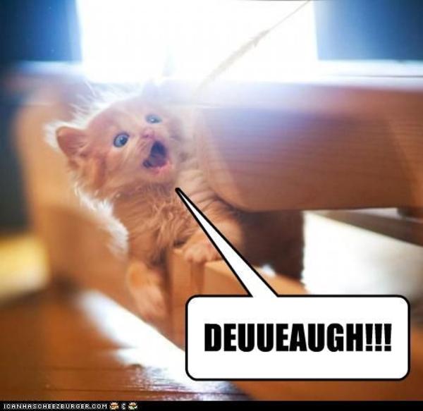 [Image - 92609] | DEUUEAUGH | Know Your Meme